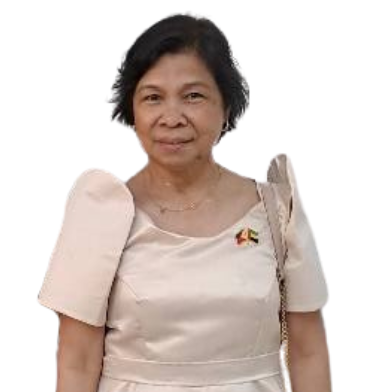 Chapters – Las Damas de Rizal Abu Dhabi